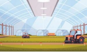 U.S. launches $25 million climate-smart agriculture program in Pakistan ...